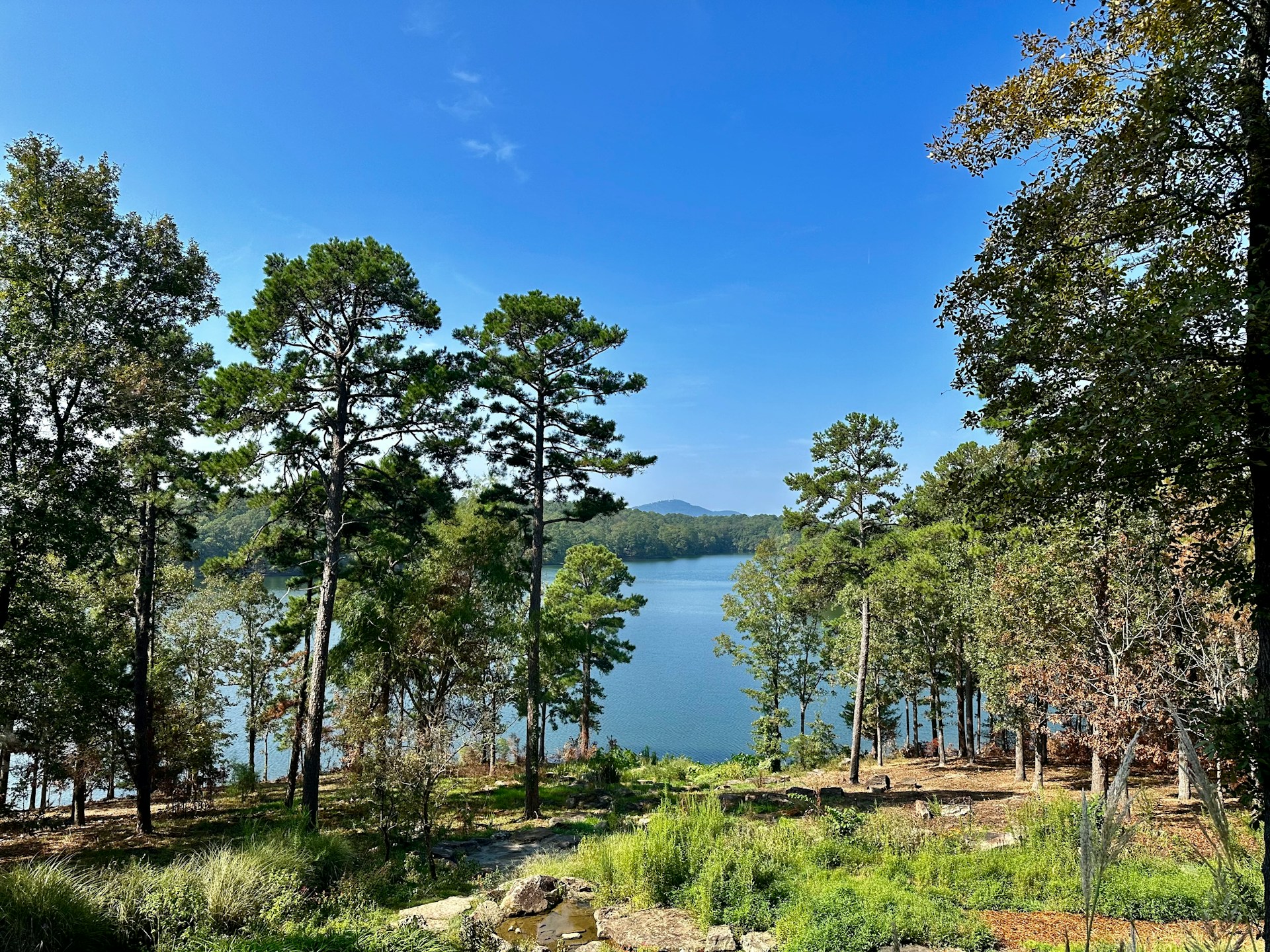 Explore Garvan Woodland Gardens: A Must-See for Guests of Overnight ...