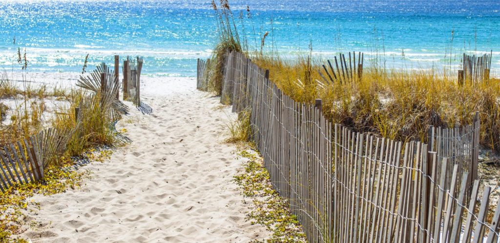 Essentials: Homepage - Elite Vacation Rentals
