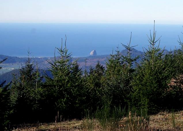 Day trip to Mt. Hebo from Pacific City - Kiwanda Coastal Properties
