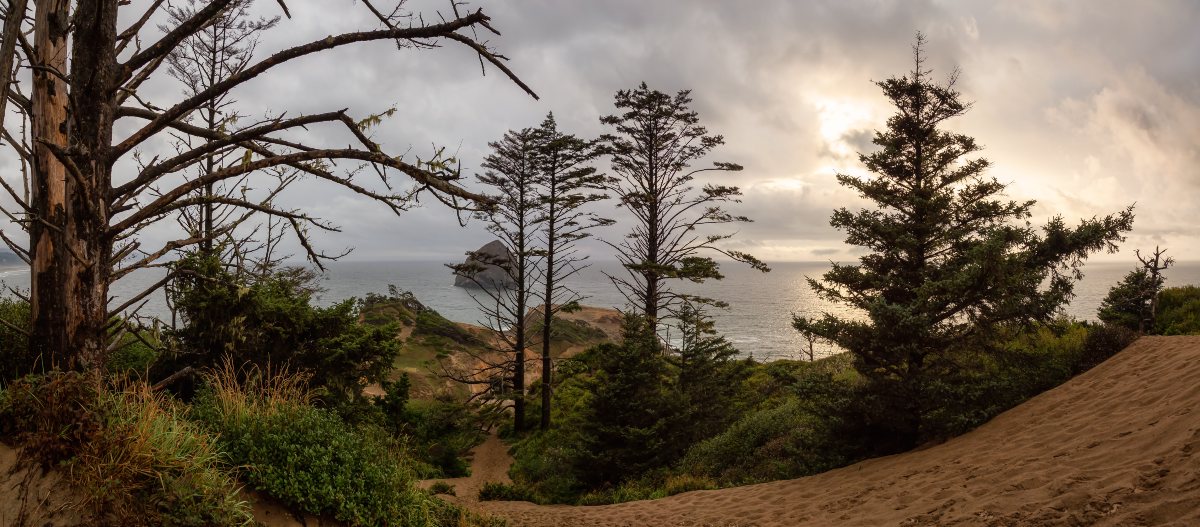 Digital Detox in Pacific City | Peaceful Oregon Retreats