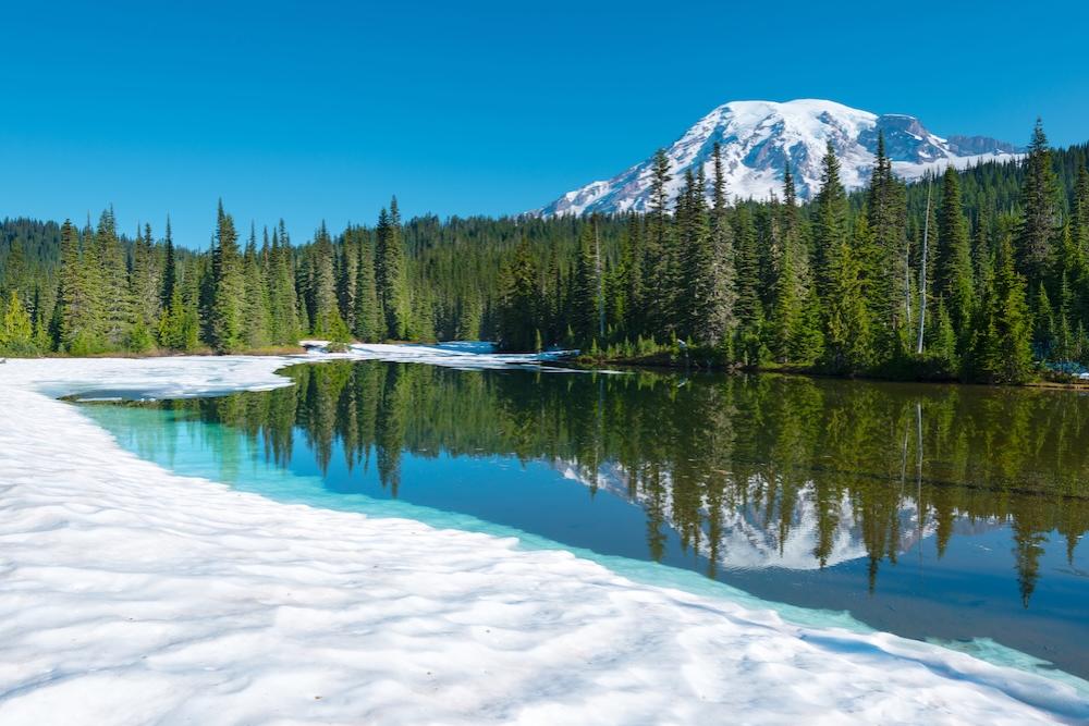 Best Time to Visit Mount Rainier and Why - TMC Vacation Rentals