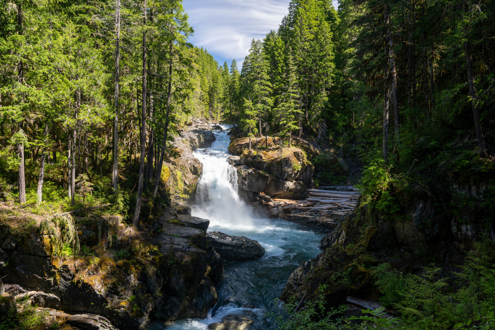 Iconic Waterfalls and Hiking Trails near Packwood, Washington